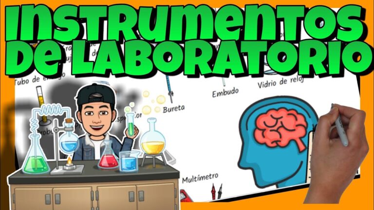 Cómo se Clasifican los Instrumentos de Laboratorio: Guía Completa - Soy ...